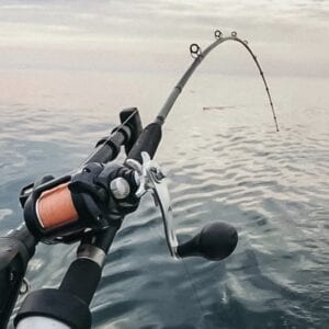 Salmon Fishing Charter - Milwaukee Offshore Fishing Charters